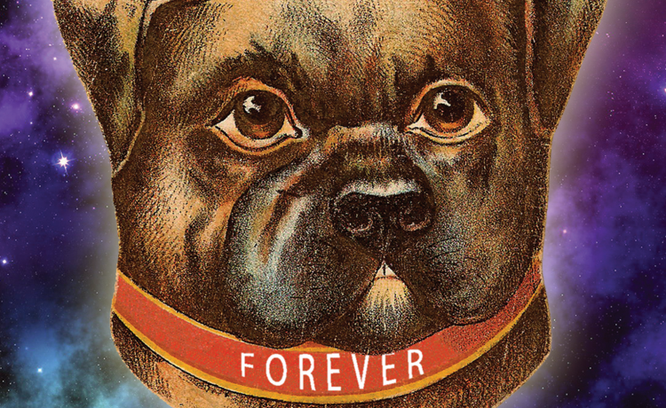 Podcast network Forever Dog launches eight new shows from Michelle Col ...