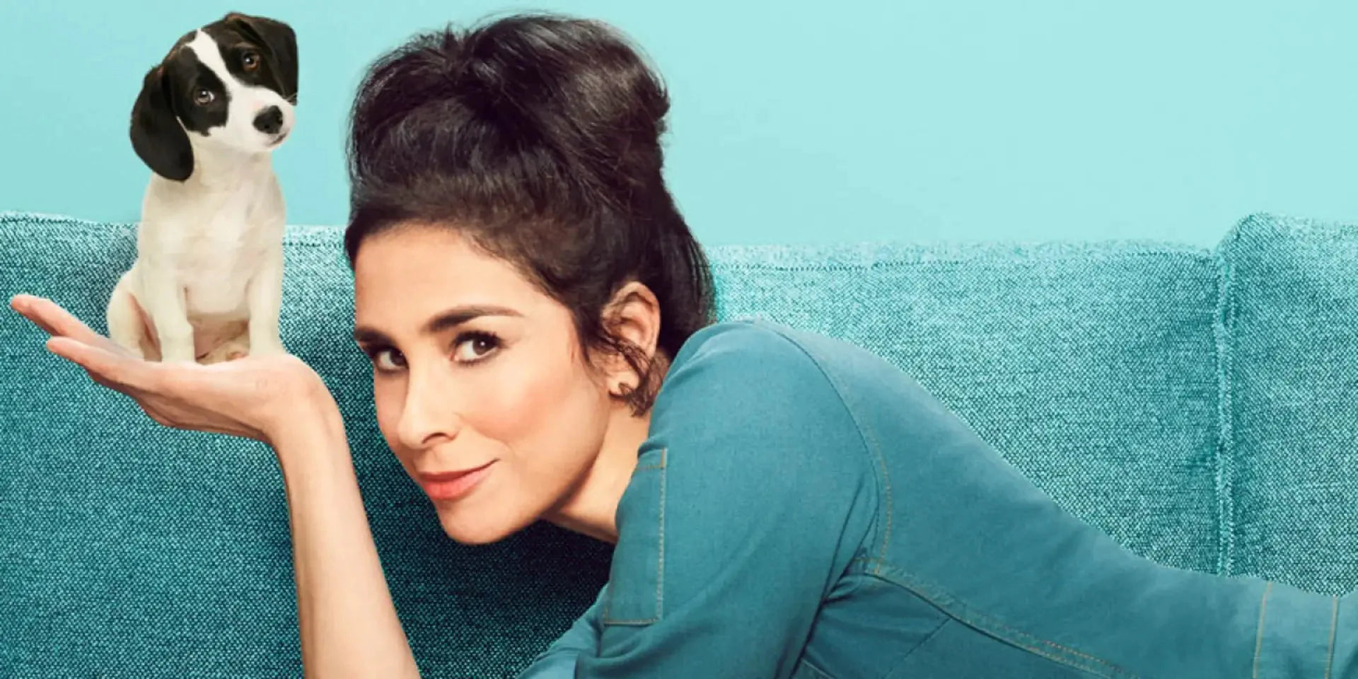 Sarah Silverman Is Reviving David Letterman’s "Stupid Pet Tricks" – 800 ...